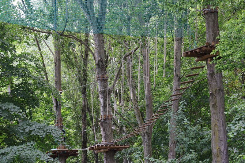 Tree Climbing Course in Summer Sport Activities Stock Photo - Image of ...