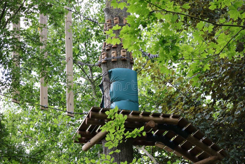 Tree Climbing Course in Summer Sport Activities Stock Image - Image of ...