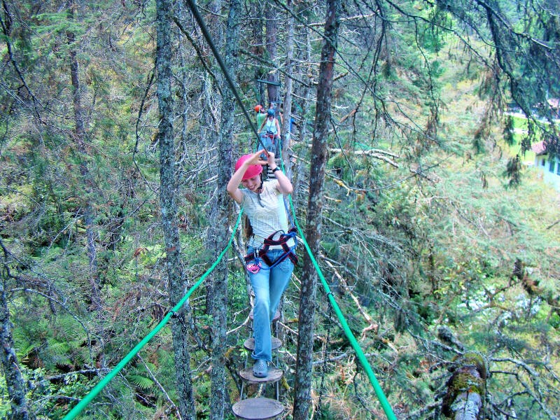 Tree climbing editorial stock image. Image of skill, bridge - 94366629