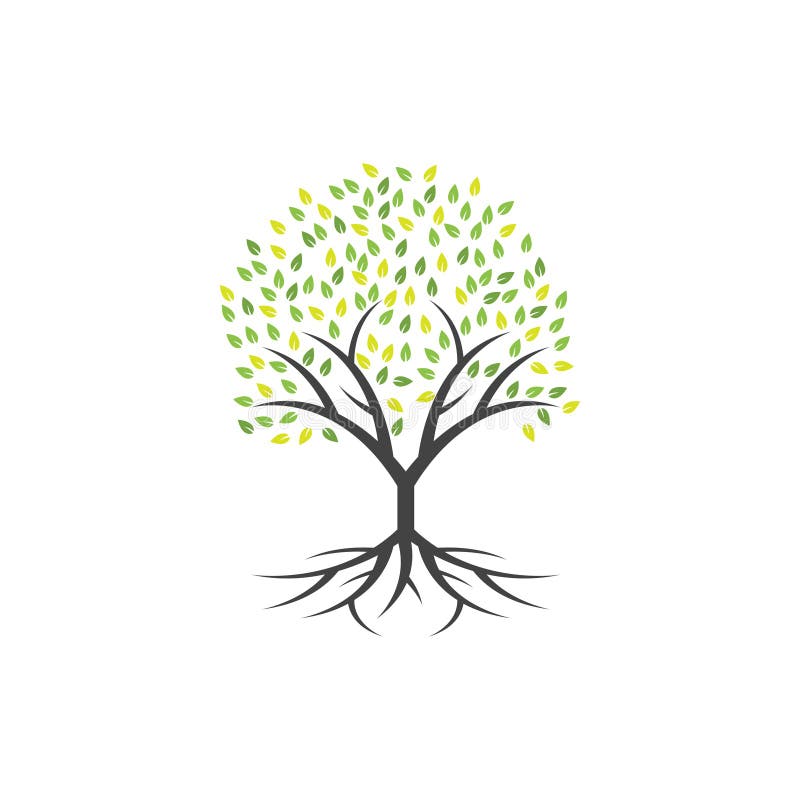 Tree Clip Art Graphic Design Template Vector Isolated Stock Vector ...