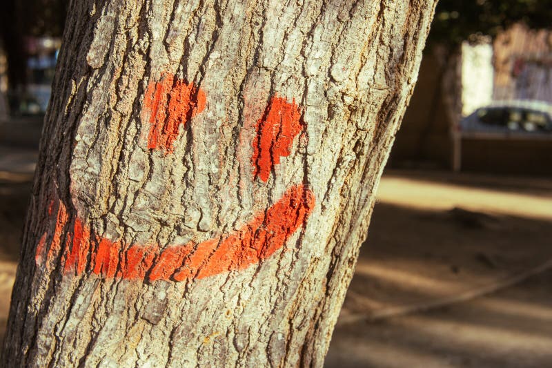 Tree Close-up, Painted Smiley Face on the Tree with Red Paint, Close-up ...
