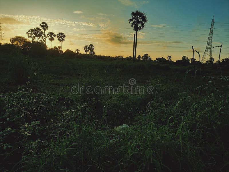 Tree Cloud Sky Road Abstr Stock Photos - Free & Royalty-Free Stock ...