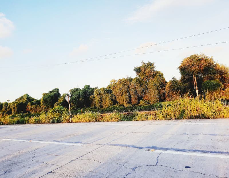 Tree Cloud Sky Road Abstr Stock Photos - Free & Royalty-Free Stock ...