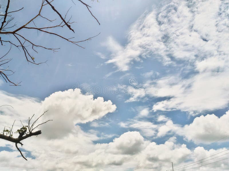 Tree and Clouds stock image. Image of overcast, clouds - 72841699