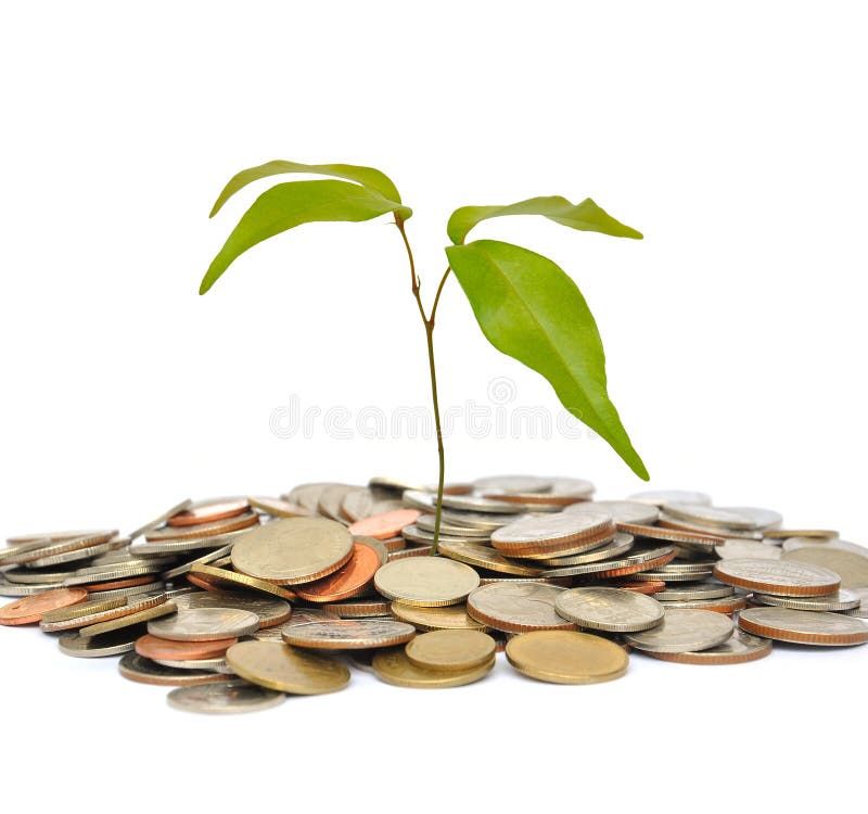 Tree on coin stock photo. Image of abstract, green, financial - 25801684