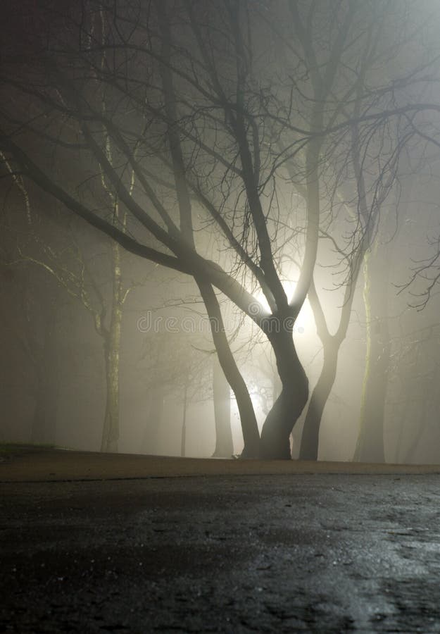 Tree is in cold light stock image. Image of lamps, nature - 1631819