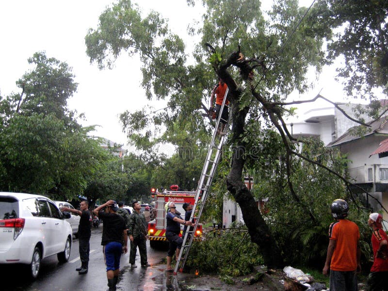 Tree collapsed editorial photo. Image of central, officers - 67407831