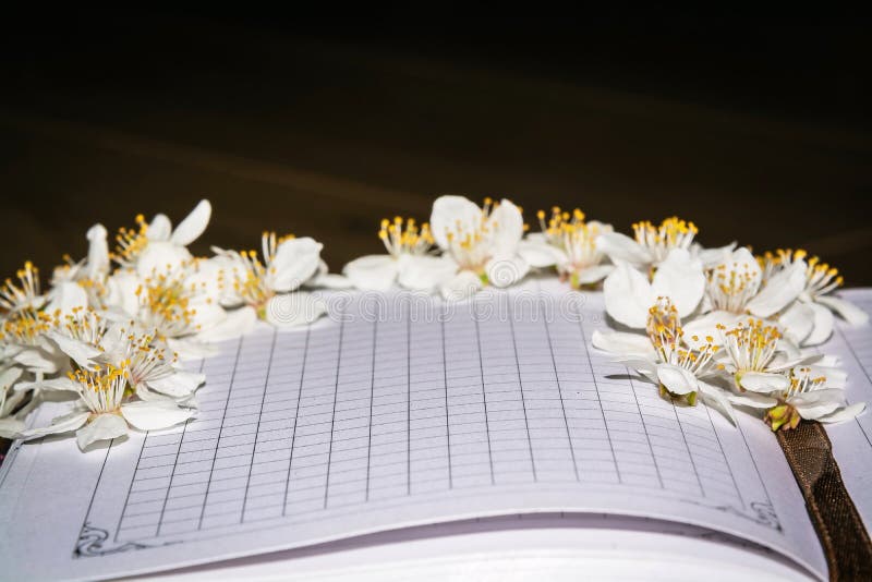 Tree Color on Paper. Notepad Sheets Stock Photo - Image of elongation ...