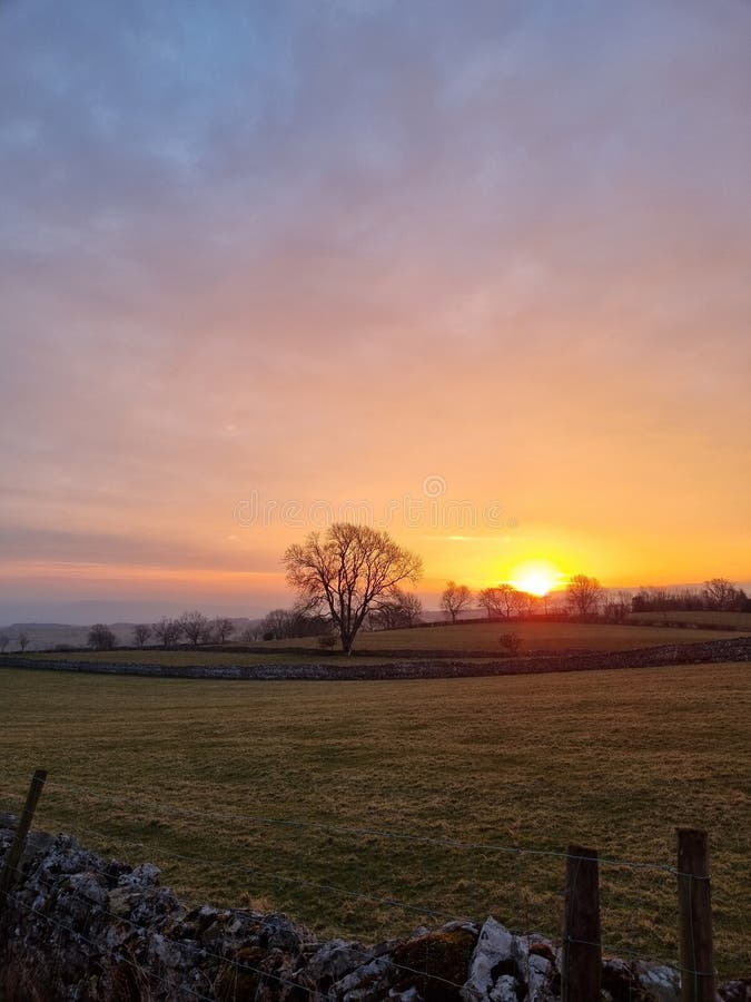 Tree in a Colourful Pastel Morning Sunrise Stock Photo - Image of ...