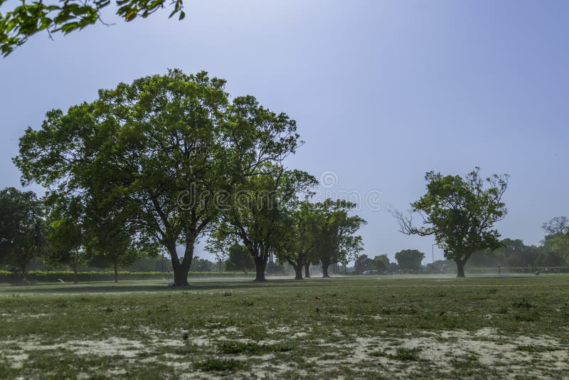 Alignment of Trees in a French Garden Stock Image - Image of landmark ...