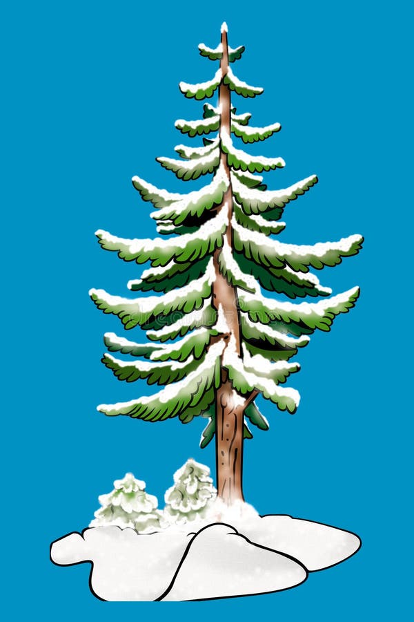 Tree - coniferous stock illustration. Illustration of botany - 2097959