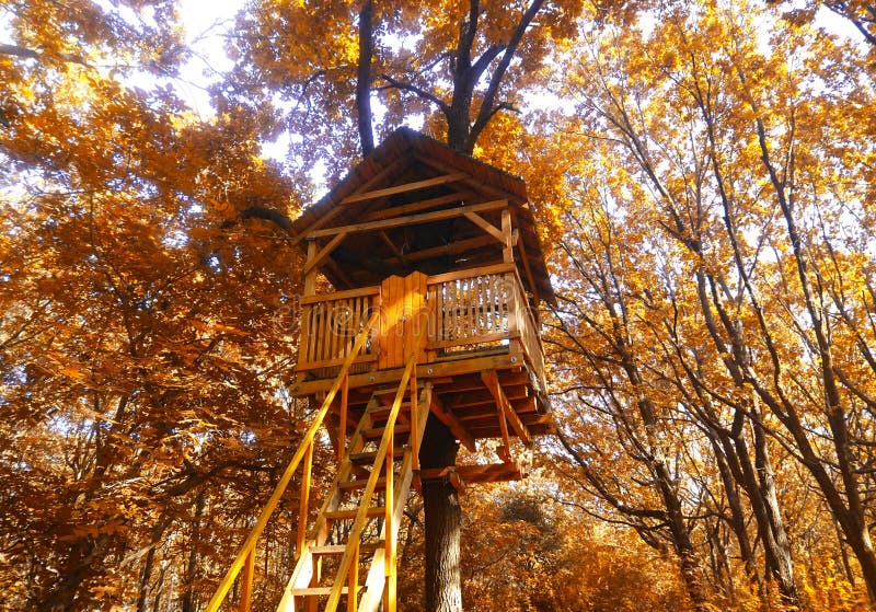 Tree House. Autumn Forest. Yellow Foliage. Stock Image - Image of ...