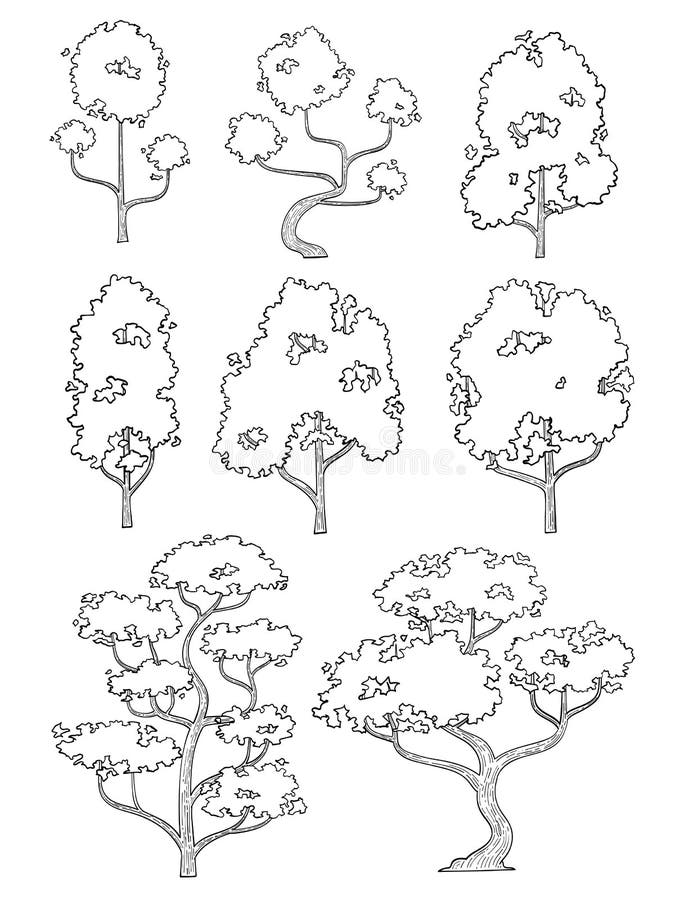 Hand Drawn Side View Tree Vector Set Stock Vector - Illustration of ...