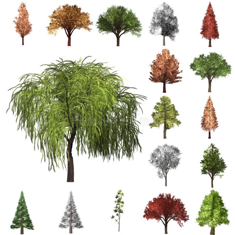 Tree Correction Design Set. 3D Illustration. White Background Isolate ...