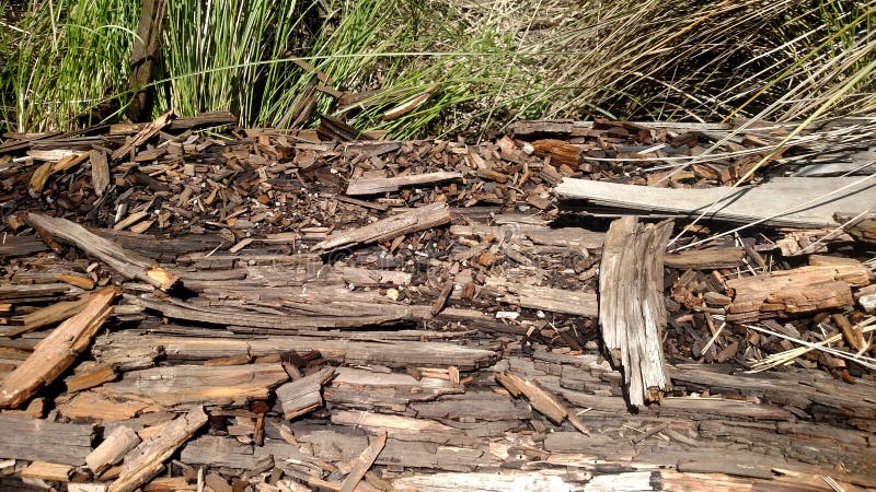 Cortex or Wood Chip Texture Stock Image - Image of covering, material ...
