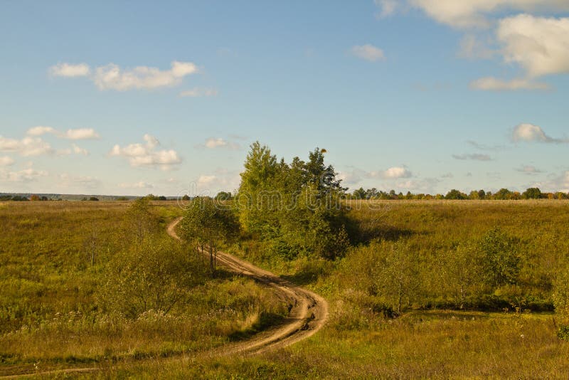 Tree on a country road stock image. Image of autumn - 103141837