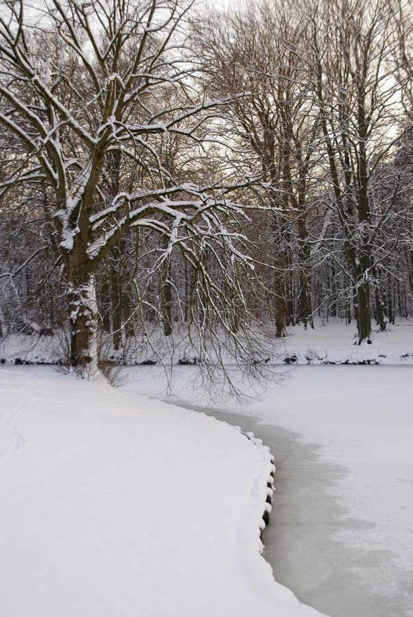 Tree covered with snow stock photo. Image of river, winter - 17509416