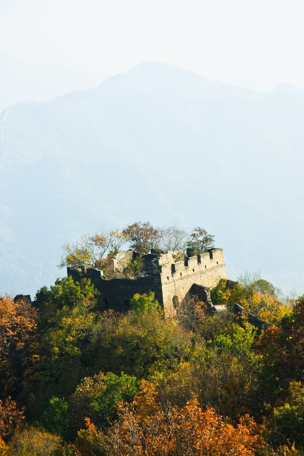 Tree-covered Tower. Overgrown with Trees the Tower of the Great Chinese ...