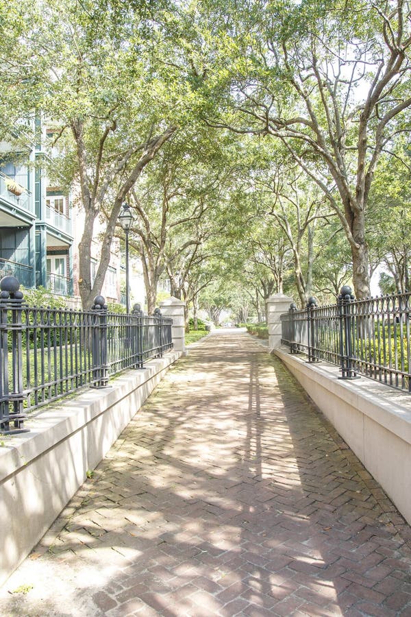 Tree Covered Walkway through a Nice Park Stock Photo - Image of trees ...
