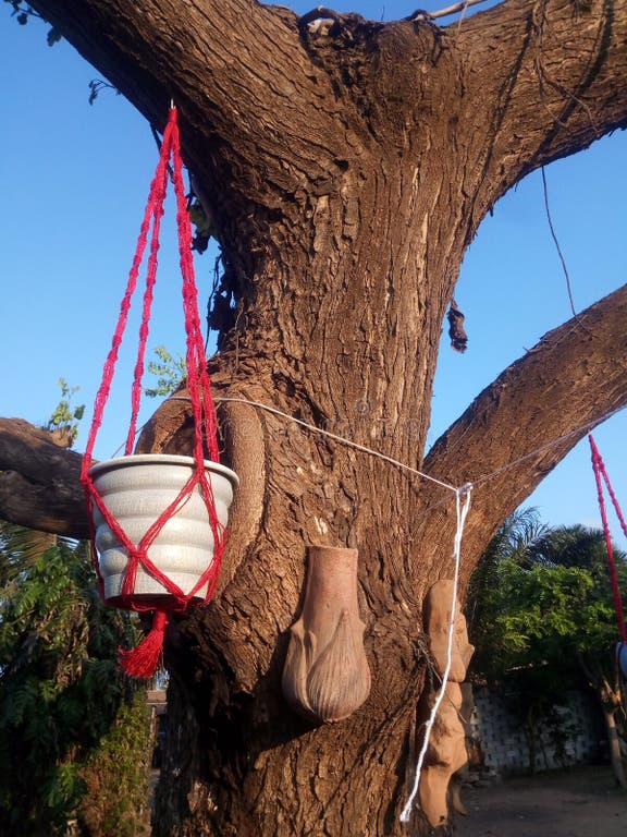 Tree of Creativity stock photo. Image of nature, combination - 228526646