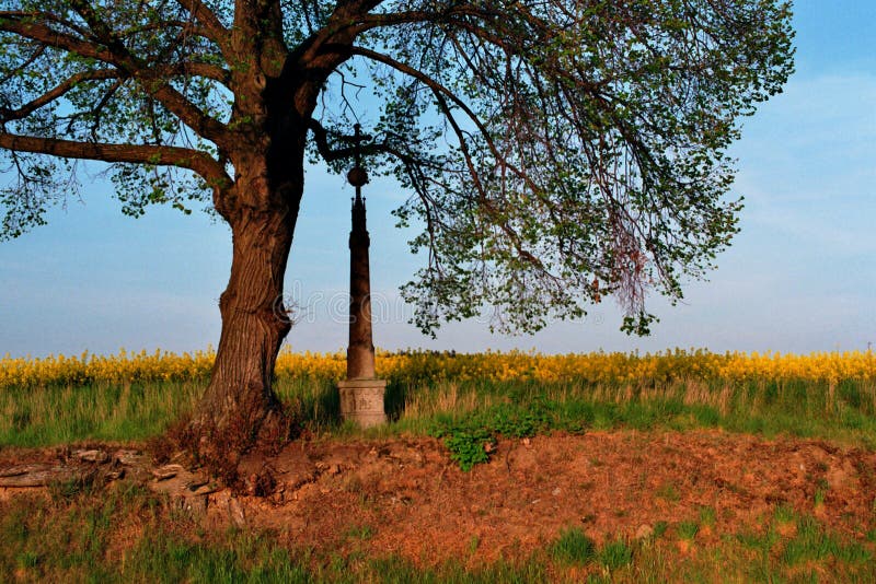 Tree-cross 4 stock image. Image of trees, plants, icon - 2650465