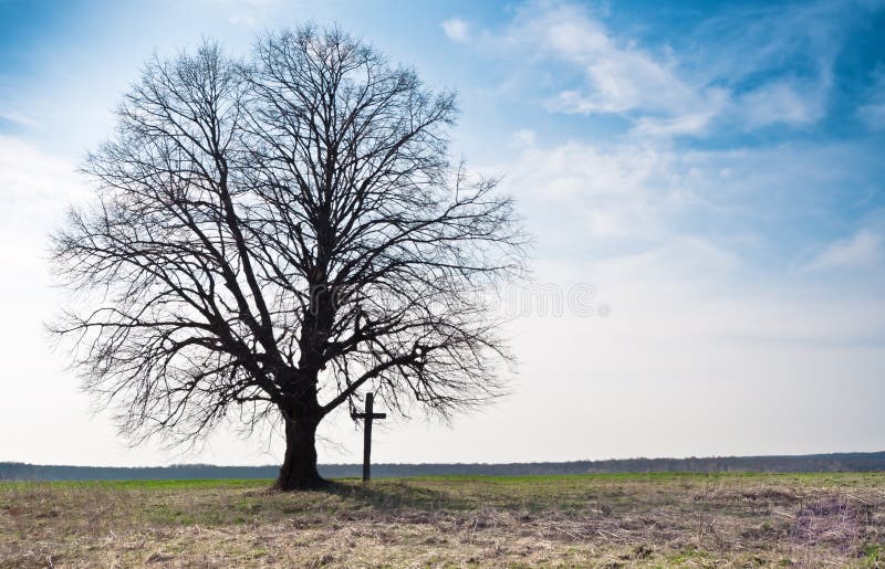 Tree and cross stock image. Image of inspiration, symbol - 30795649