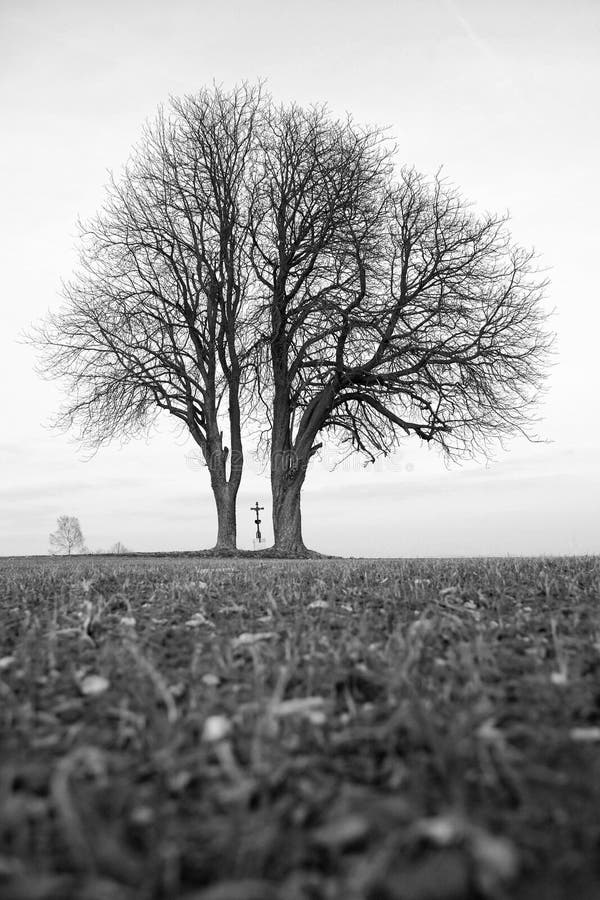 Tree Cross Landscape Field Black White Stock Image - Image of cross ...