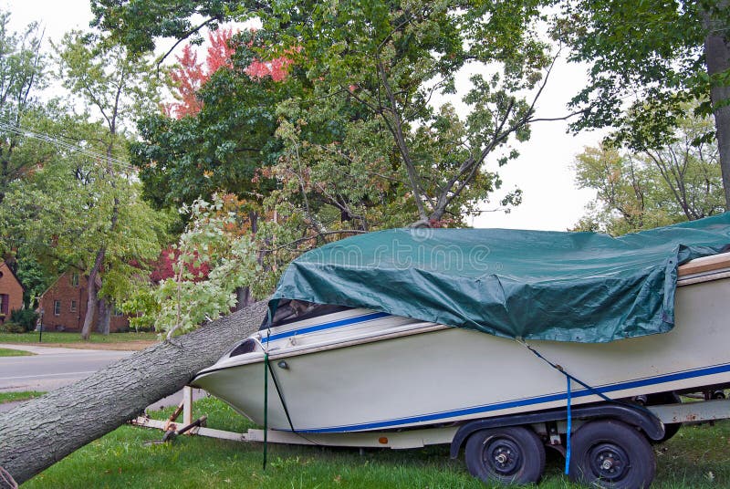 Tree falling on house stock vector. Illustration of design - 92786152