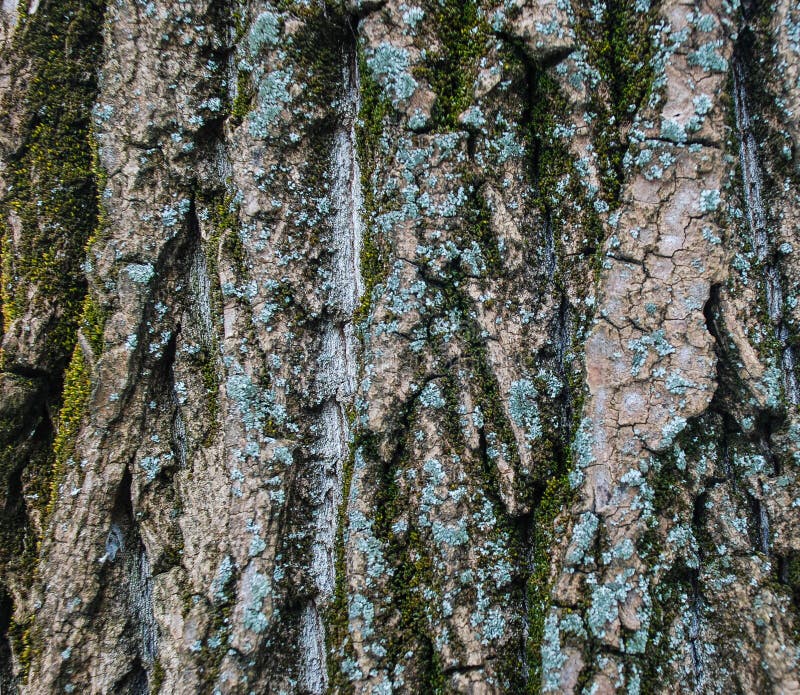 Artspt - Photographer profile