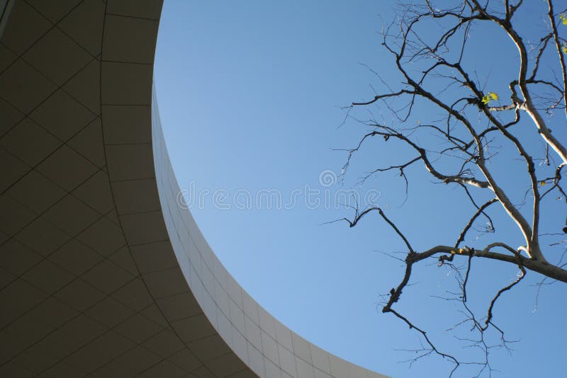 A Tree And A Curve Picture. Image: 1013141