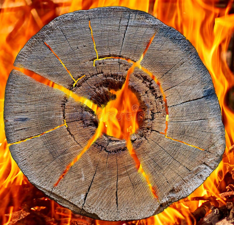 Tree Cut Against Burning Fire As Background for Artists Stock Photo ...