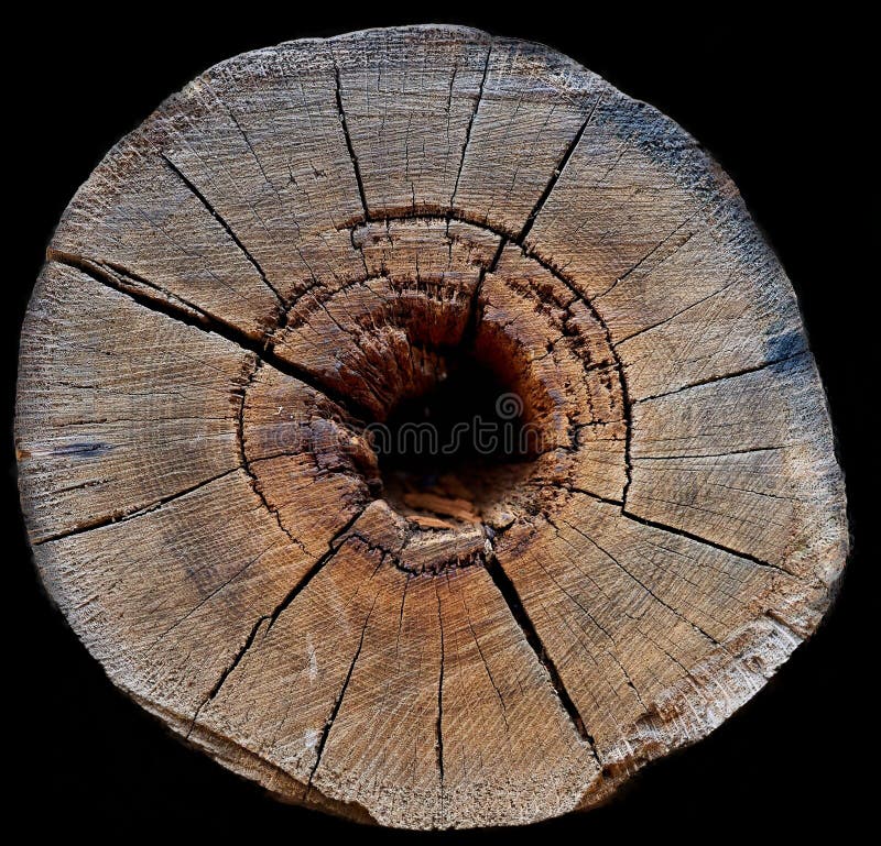Tree Cut As a Background Texture for Artists Stock Photo - Image of ...