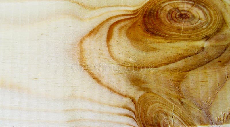 Tree Cut Color Photo Texture Background Wallpaper Stock Image - Image ...