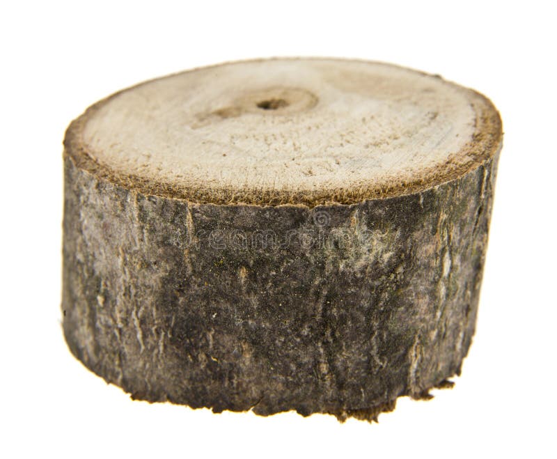 Tree Cut Isolated on White Background Stock Image - Image of background ...