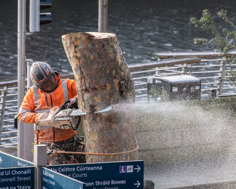 Tree Cutting on Liffey Street Lower, Dublin, Ireland 2024-01-14 ...