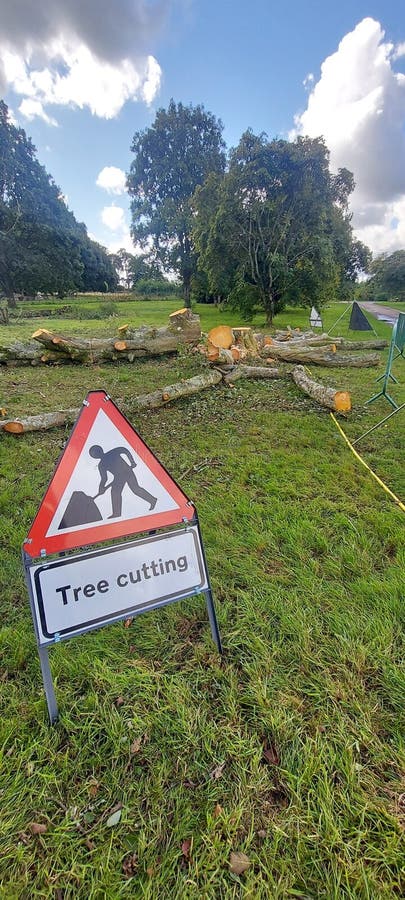 Tree cutting warning sign. stock image. Image of felled - 335490003