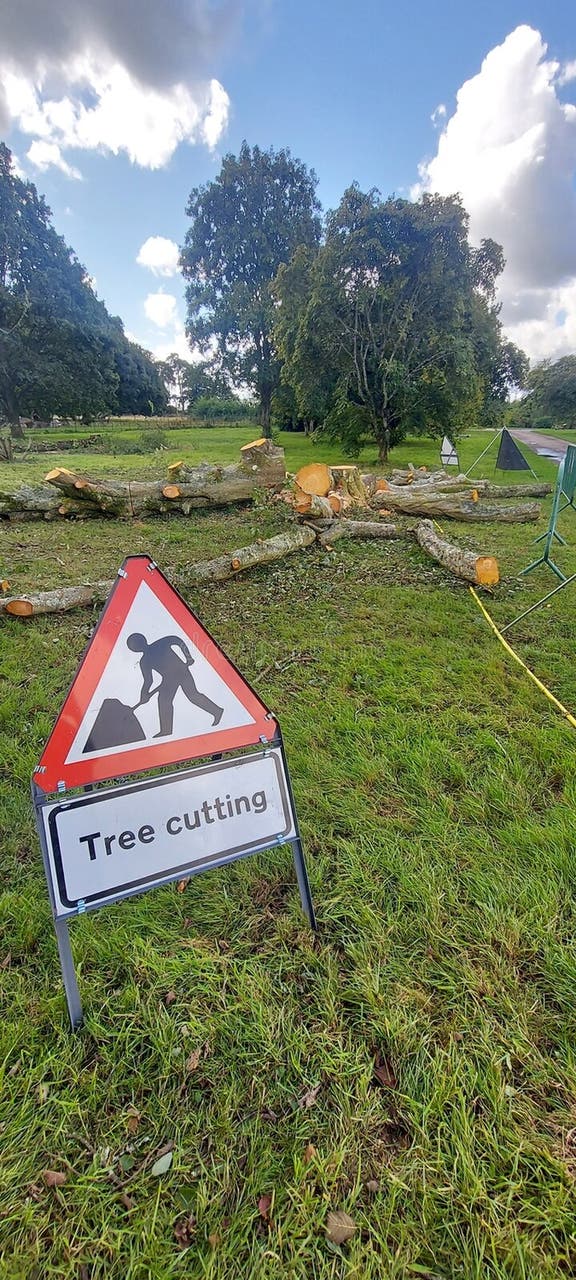 Tree cutting warning sign. stock image. Image of felled - 335490003