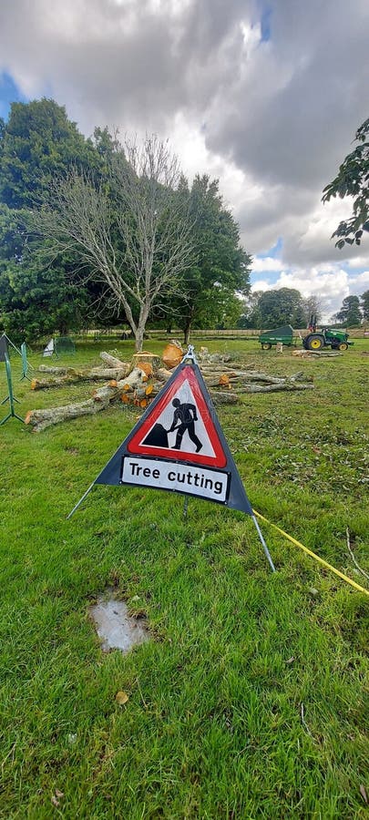 Tree cutting warning sign. stock image. Image of wood - 357364545
