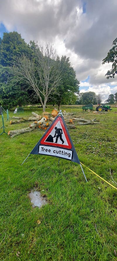 Tree cutting warning sign. stock image. Image of wood - 357364545