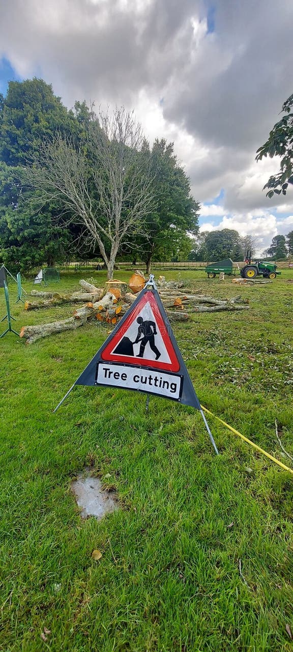 Tree cutting warning sign. stock image. Image of wood - 357364545