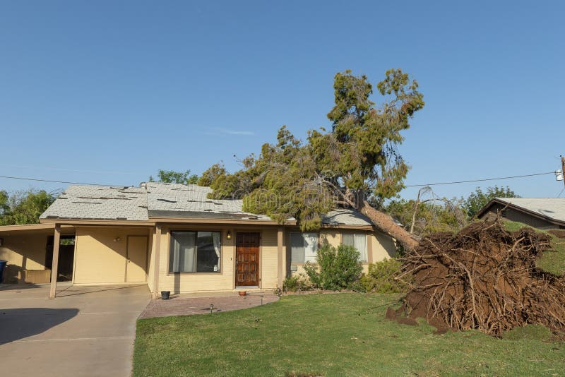 Tree Damage To Roof after Major Monsoon Stock Photo - Image of crushes ...