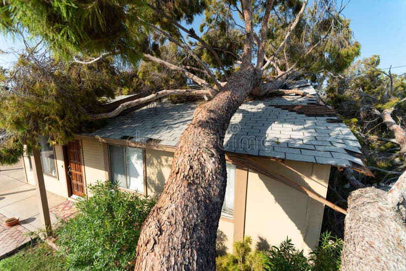 Broken Tree on House - Hurricane Damage Stock Photo - Image of ...