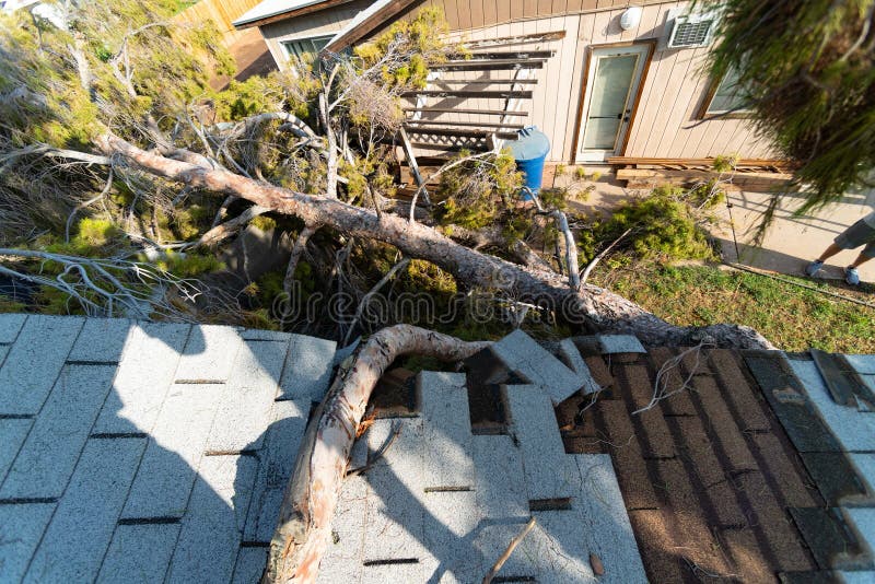 Tree Damage To Roof after Major Monsoon Stock Image - Image of home ...