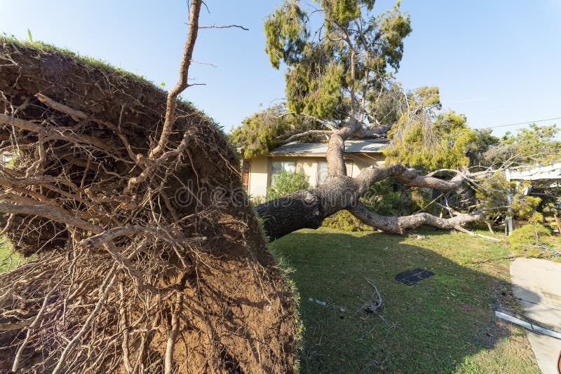 Tree Damage To Roof after Major Monsoon Stock Image - Image of large ...