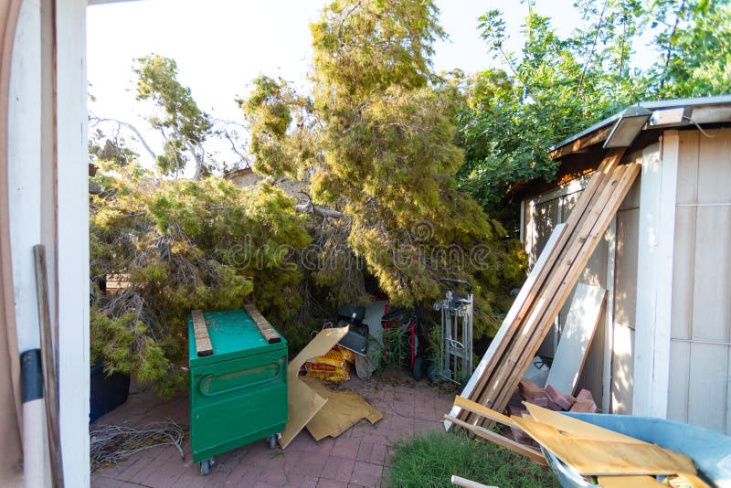 Tree Damage To Roof after Major Monsoon Stock Photo - Image of loss ...