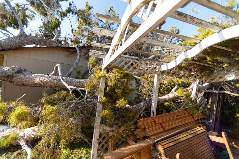Tree Damage To Roof after Major Monsoon Stock Photo - Image of hits ...
