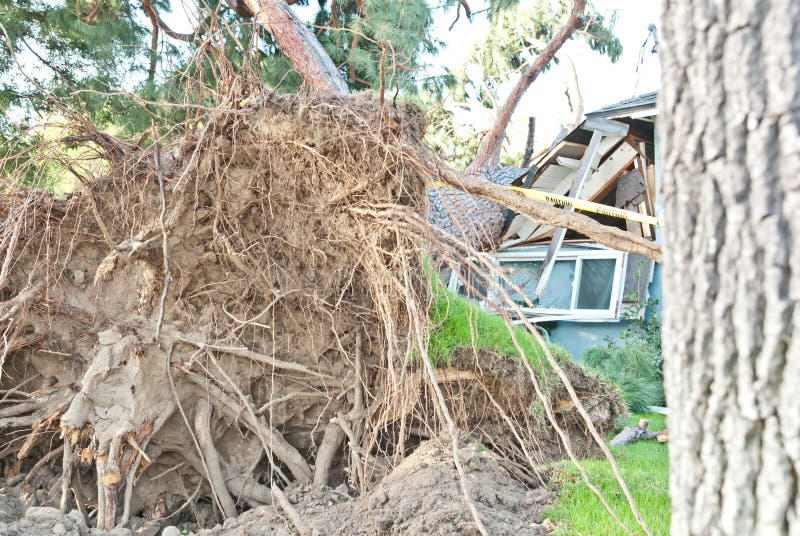 Tree Damages House stock image. Image of falls, storm - 31339867