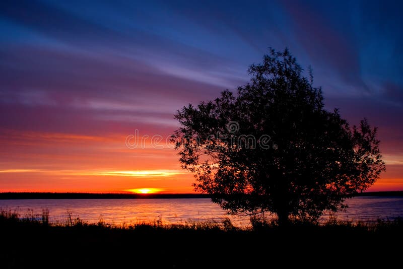 Tree Dawn stock image. Image of nature, early, water, inspiring - 403983