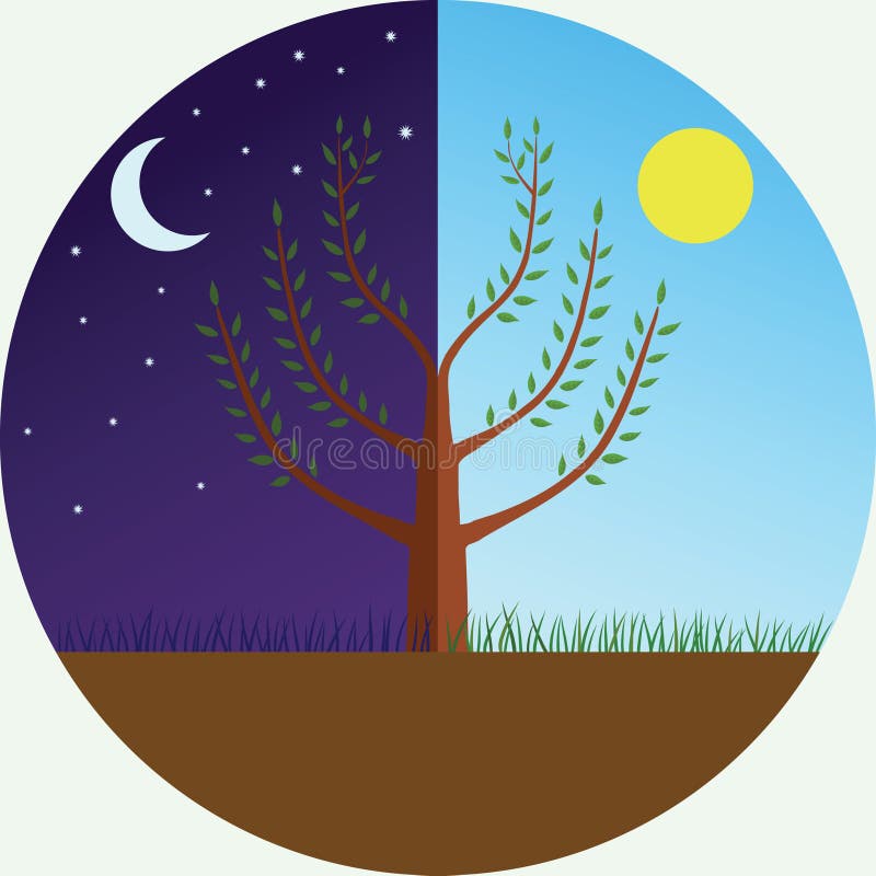 Day Night Tree Stock Illustrations – 40,302 Day Night Tree Stock ...