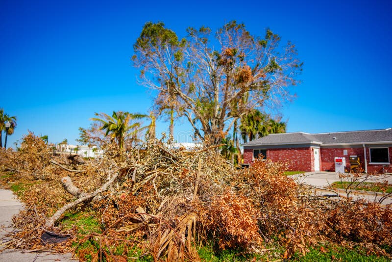 Tree Debris from Hurricane Ian Punta Gorda FL Editorial Image - Image ...